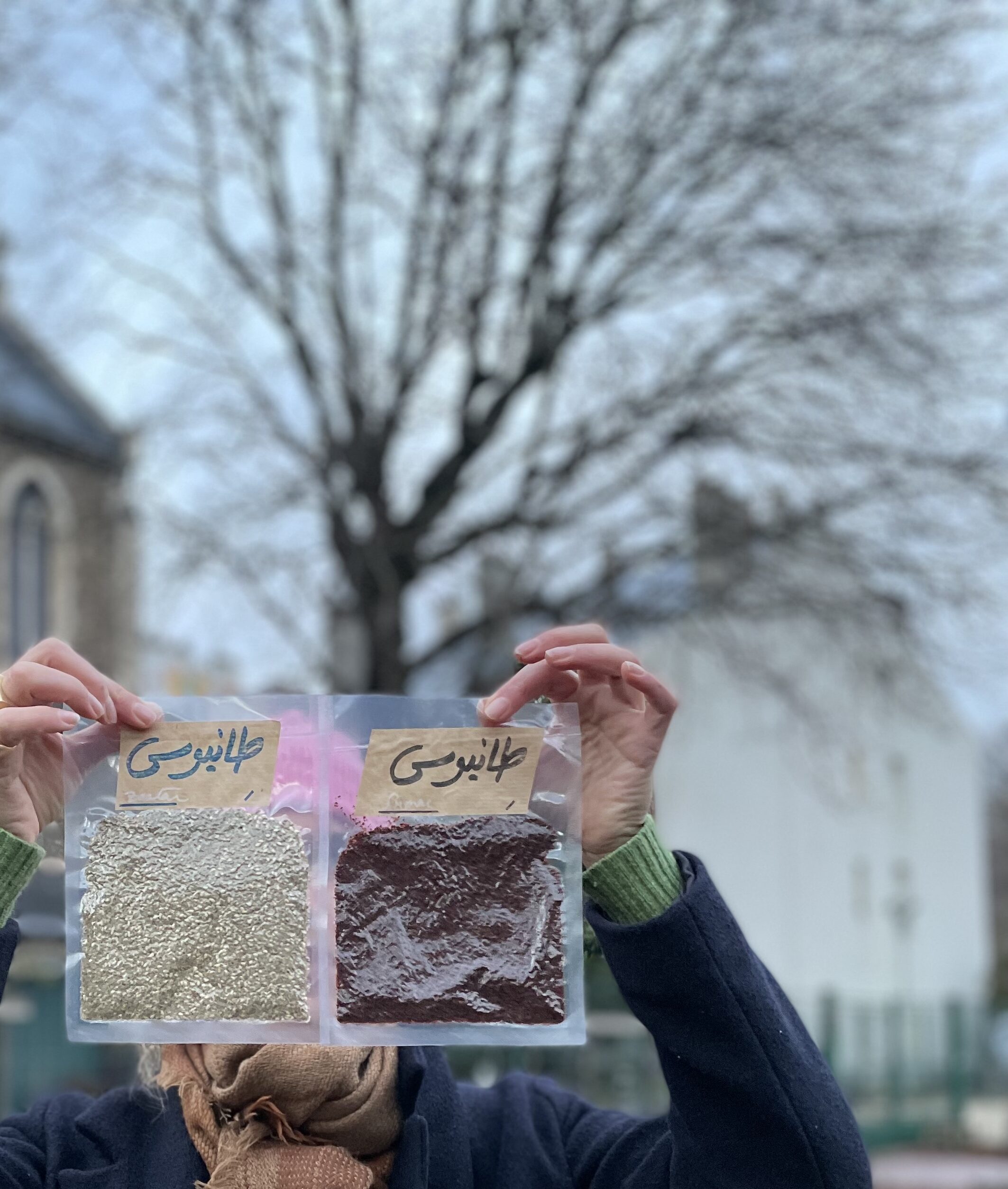 Home - Zaatar and Sumac by Tanios